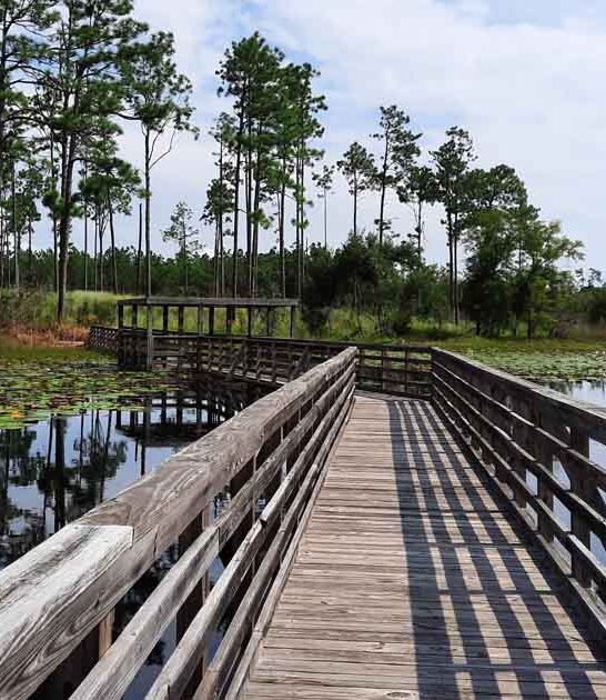 scenic nature park georgia ftr