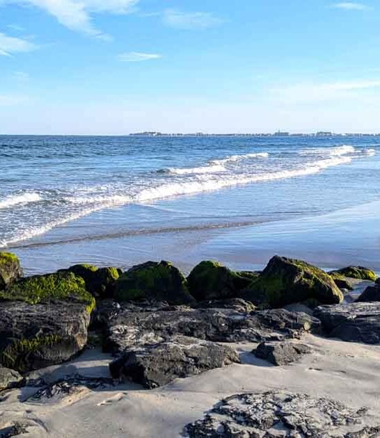 scenic new jersey beach ftr