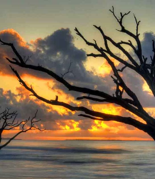 scenic places south carolina ftr