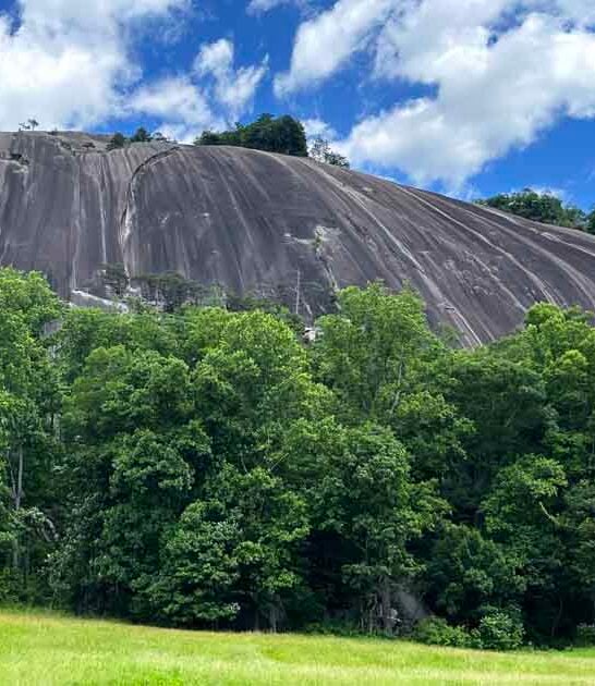 scenic wonders north carolina ftr