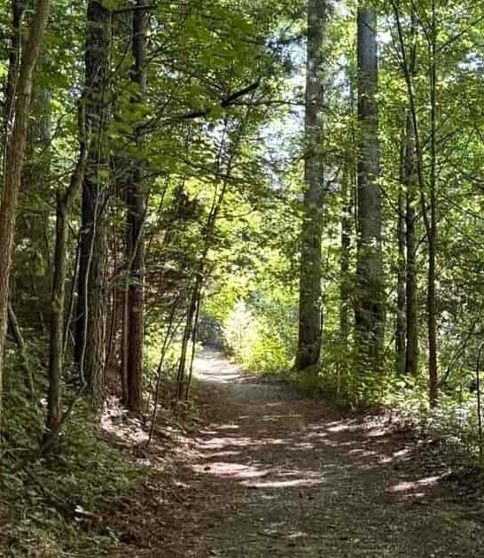 secluded north carolina hike ftr