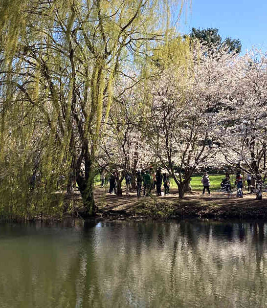 secret garden illinois college ftr