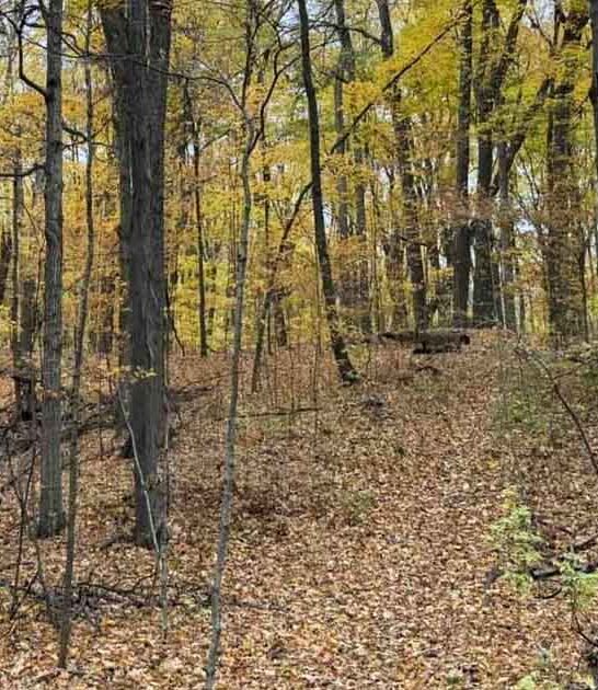 secret michigan park cave ftr