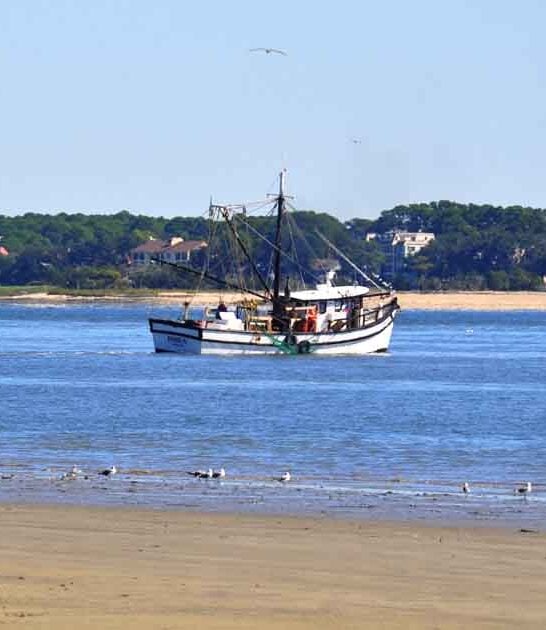 secret south carolina island ftr