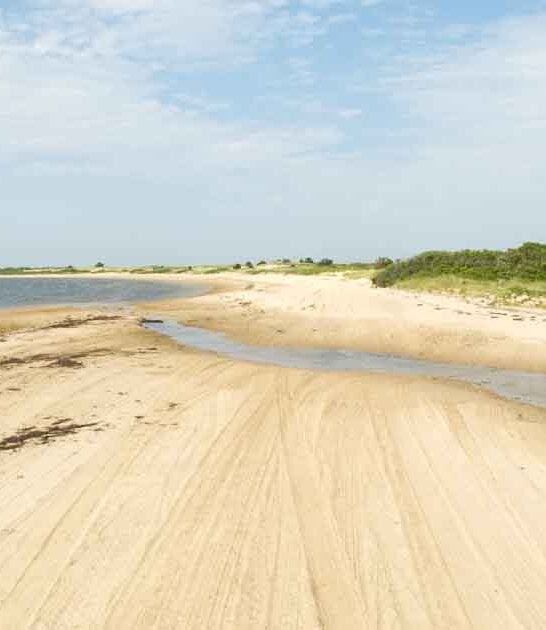 secret wildlife refuge massachusetts ftr