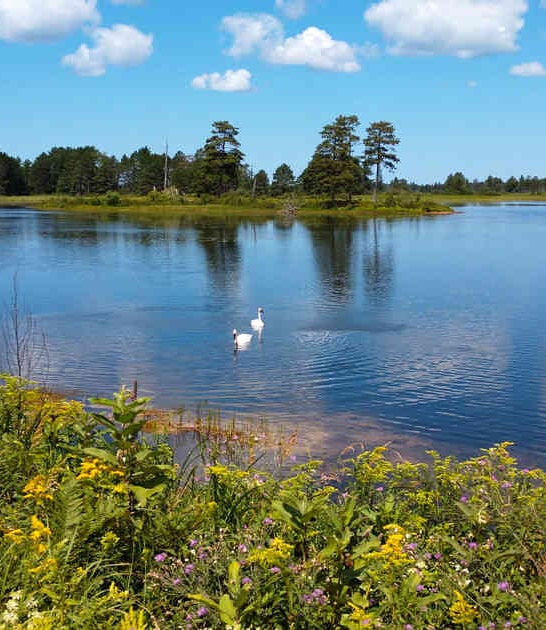 secret wildlife refuge michigan ftr