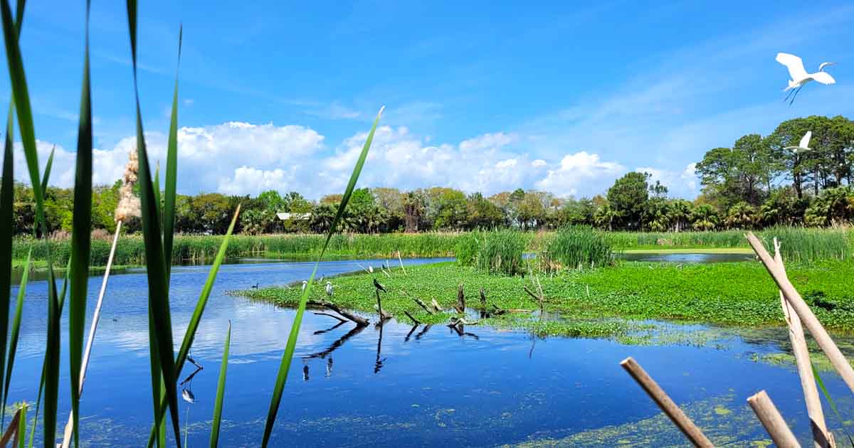 There's A Secret Wildlife Refuge In South Carolina And It's One Of The ...