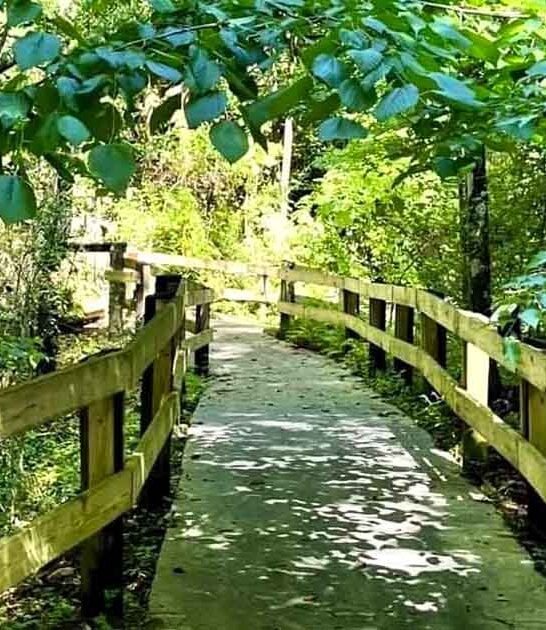 short beautiful waterfall florida ftr
