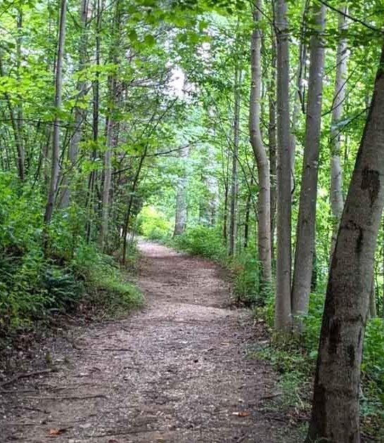 short trail north carolina ftr