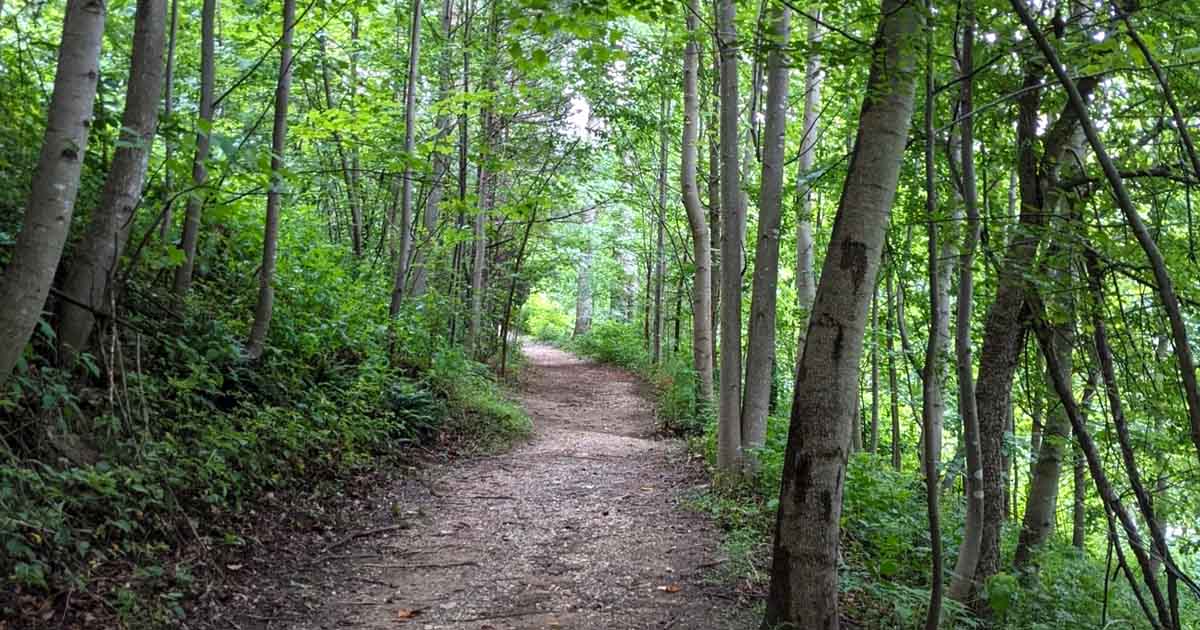 This Short But Mighty Trail In North Carolina Leads To A Jaw-Dropping ...