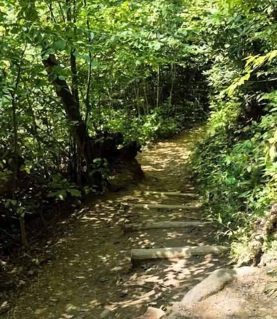 short waterfall hike georgia ftr