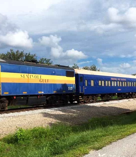 solving murder train florida ftr