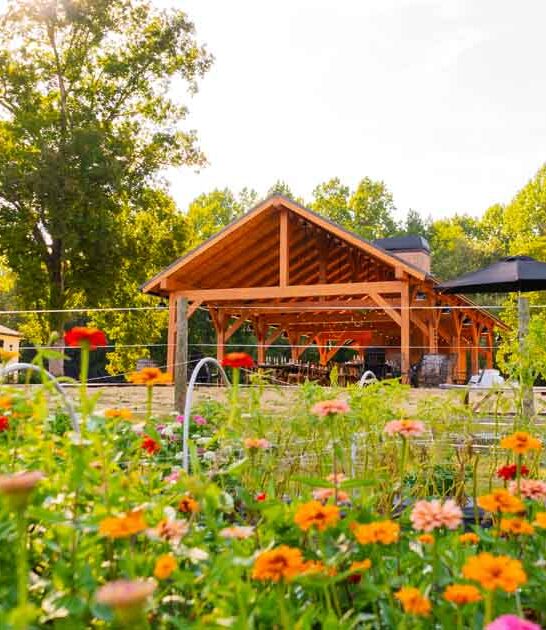 south carolina flower farm ftr