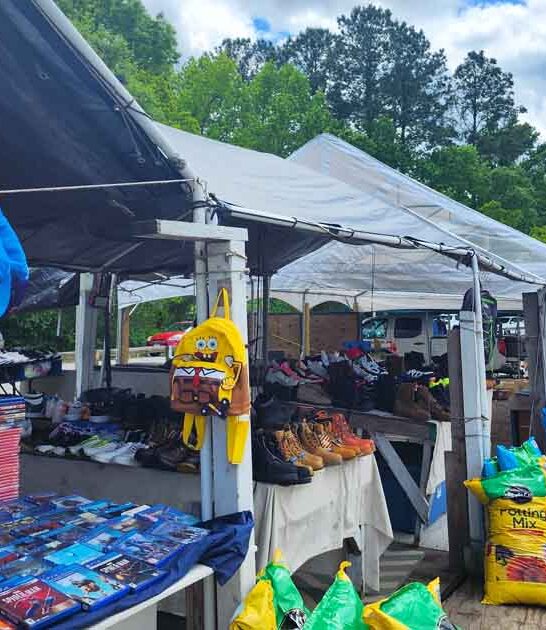 south carolina market weekend ftr