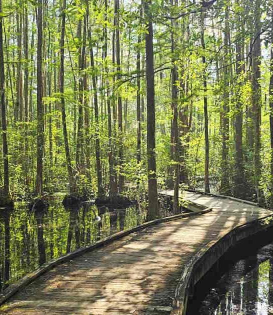 south carolina park amazing ftr