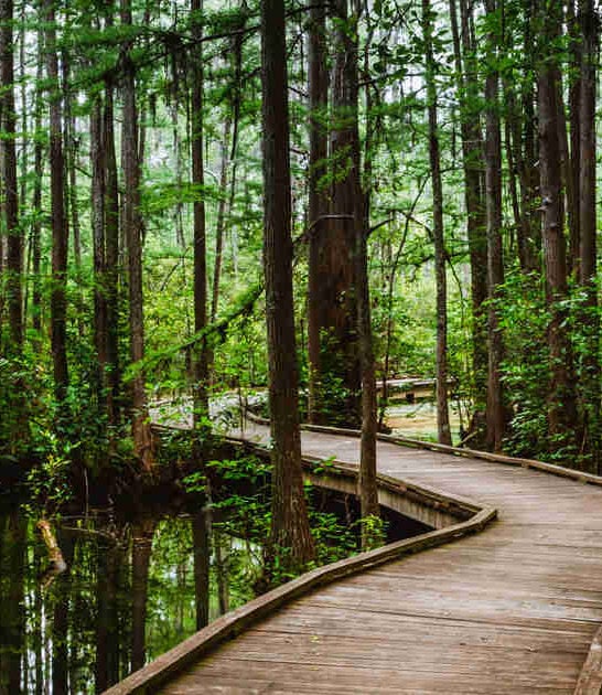 south carolina park enchanting ftr