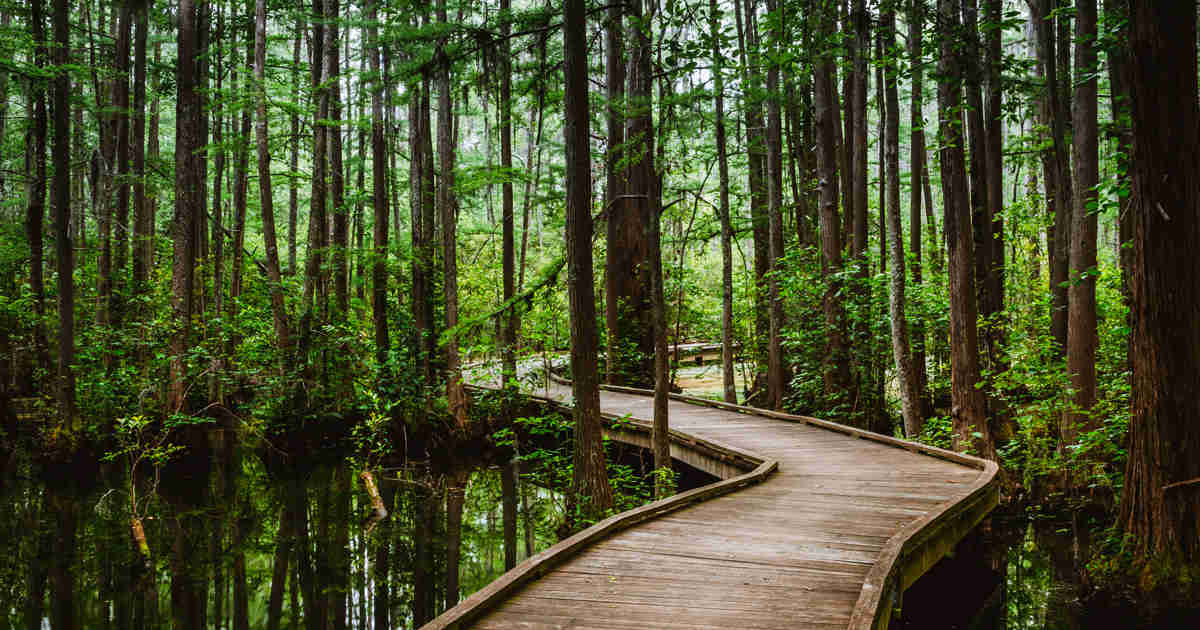 You Won't Believe This Enchanting South Carolina State Park Has Been ...