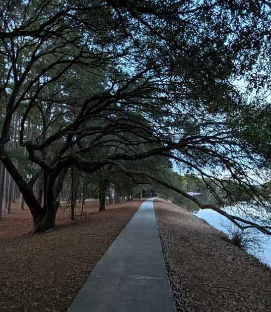 south carolina trail look ftr