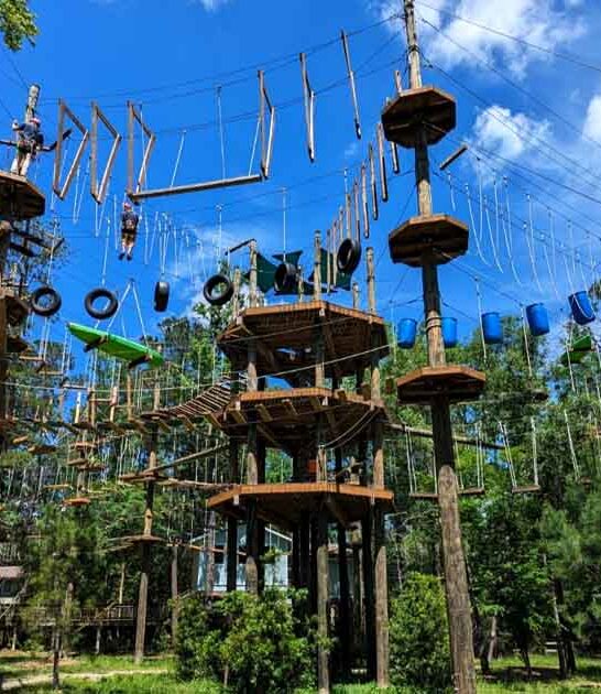 spectacular treetop course texas ftr