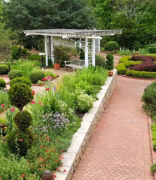 sprawling botanical garden georgia ftr
