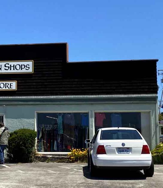stores california bargain dream ftr