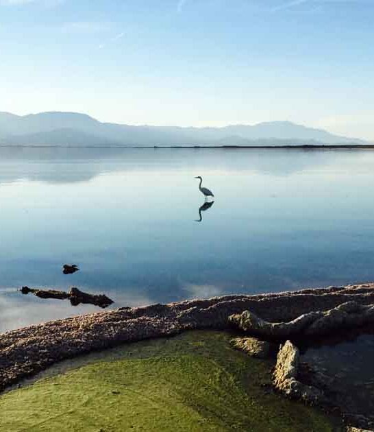 strange california desert lake ftr