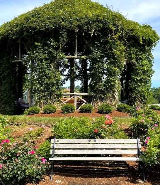 stunning connecticut garden ftr