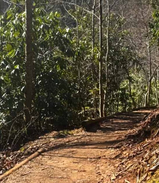 stunning waterfall hike georgia ftr