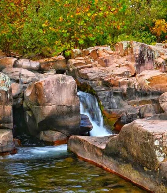 summer swimming spot missouri ftr