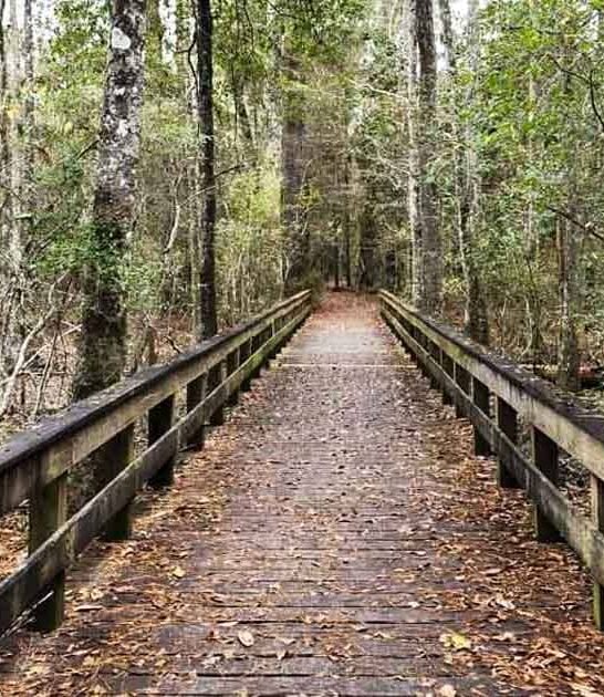 7 Unbelievably Beautiful Places In Texas That Fly Completely Under The Radar