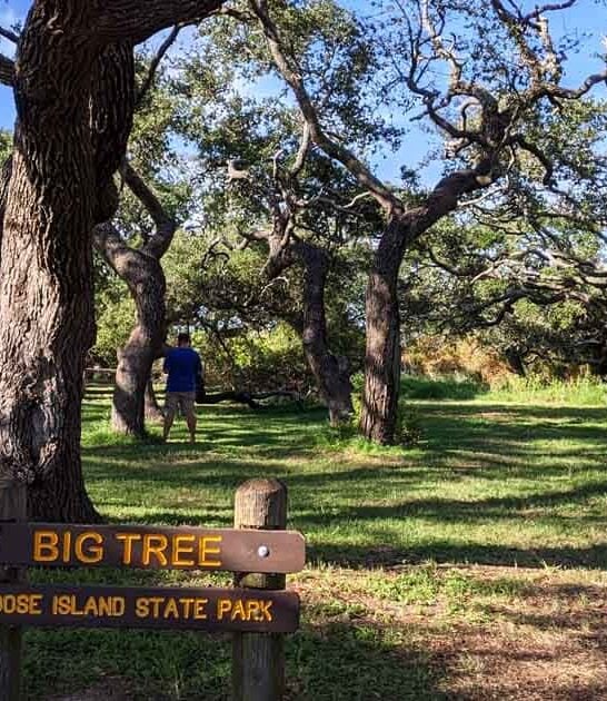 texas park natural wonder ftr