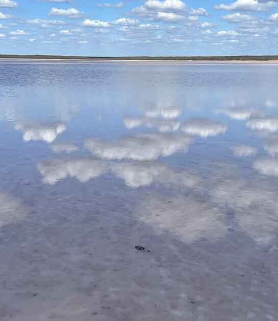 texas salty water lake ftr
