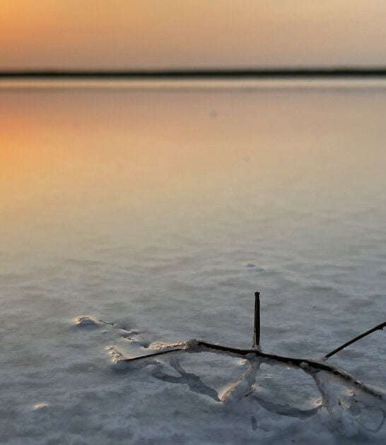 texas stunning salt lake ftr