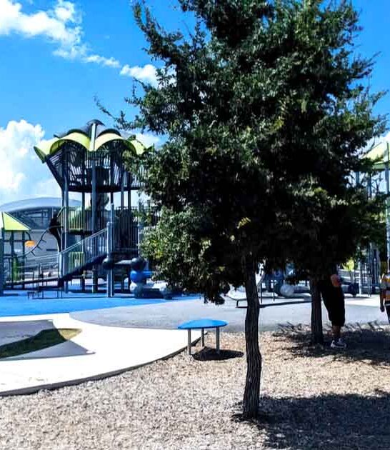 texas wild city park ftr