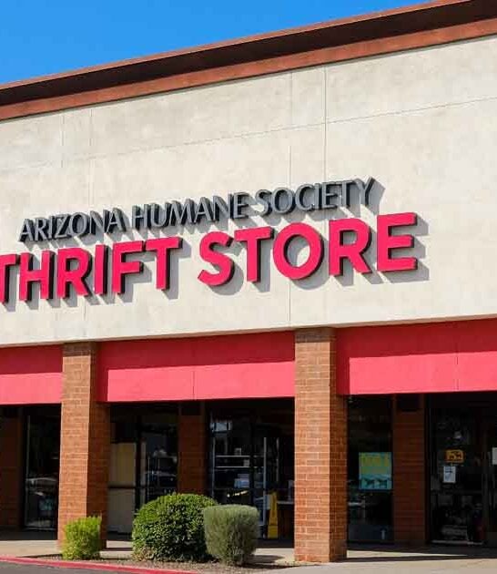 Everyone In Arizona Is Buzzing About This Unbelievably Huge Thrift Store