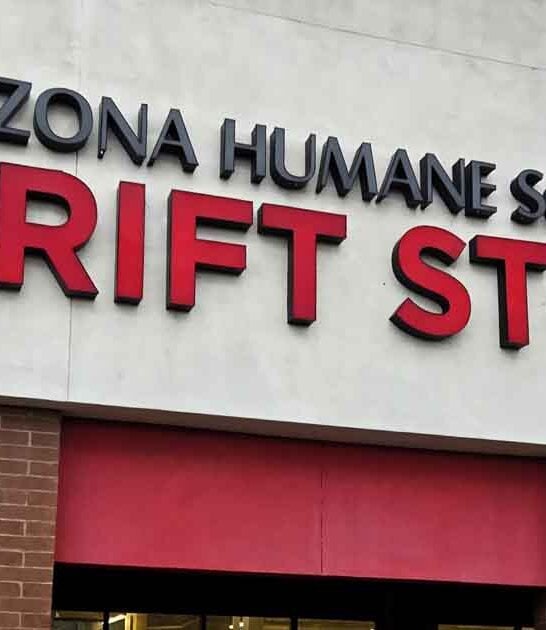 thrift store secret arizona ftr