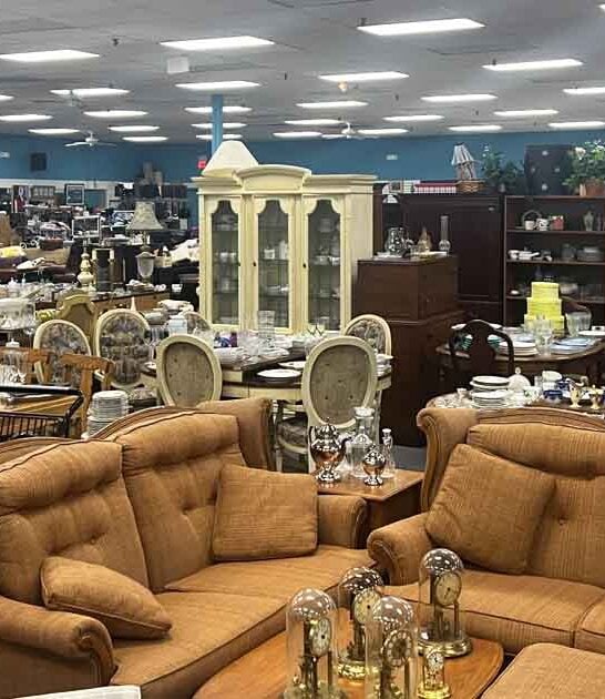thrift stores bargains illinois ftr