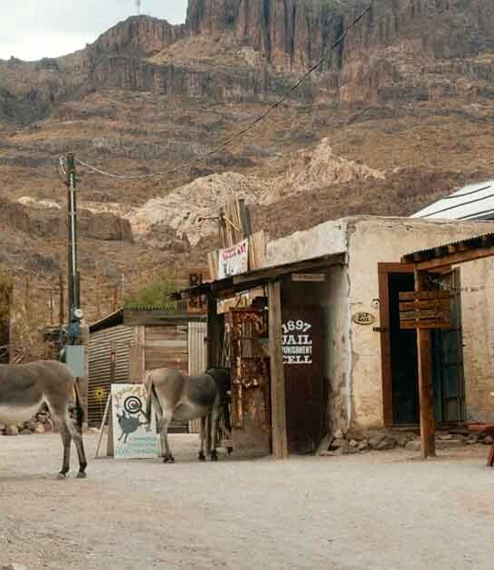 time capsule town arizona ftr