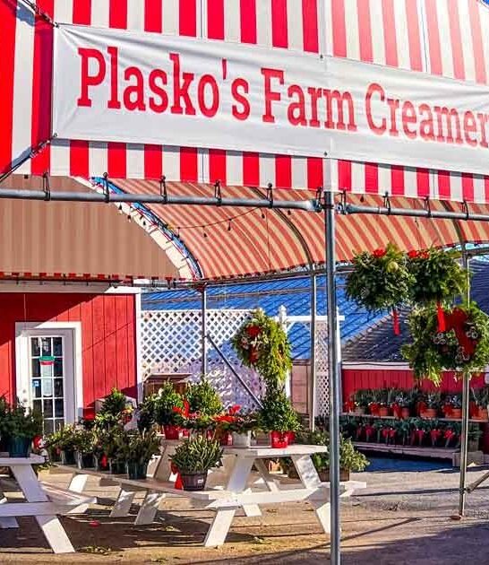 timeless connecticut cream parlor ftr