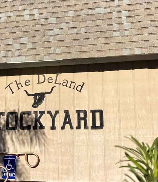tiny florida steakhouse drive ftr