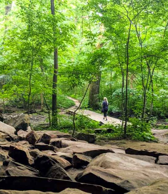 tiny illinois park secret ftr