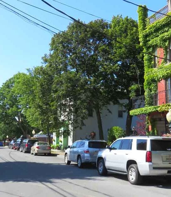 tiny new york town ftr
