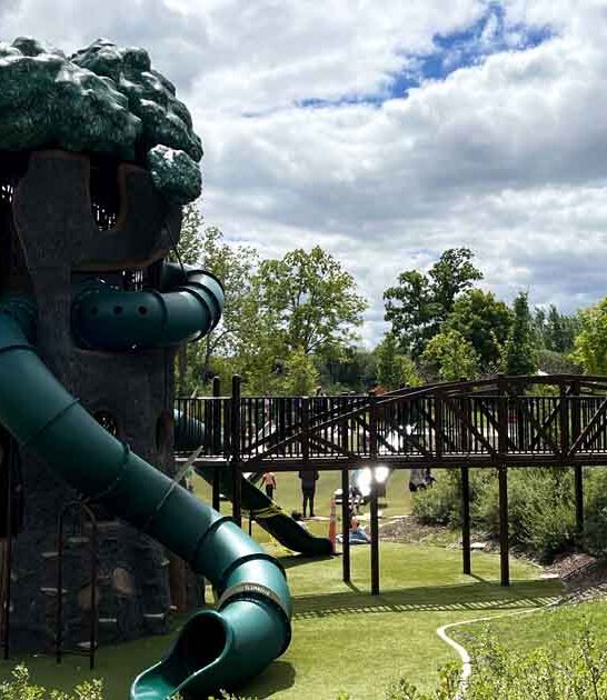 top michigan playground spot ftr