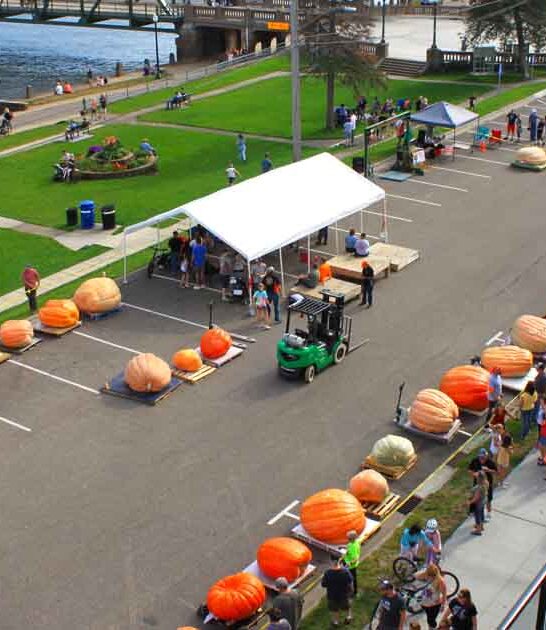 town minnesota harvest festival ftr