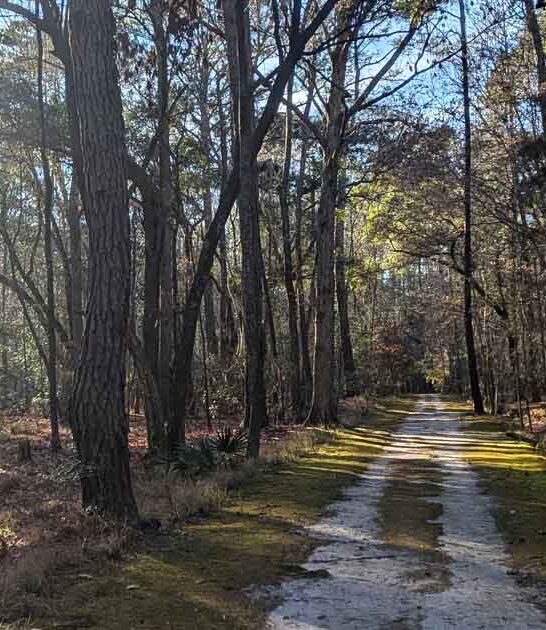 trail hike south carolina ftr