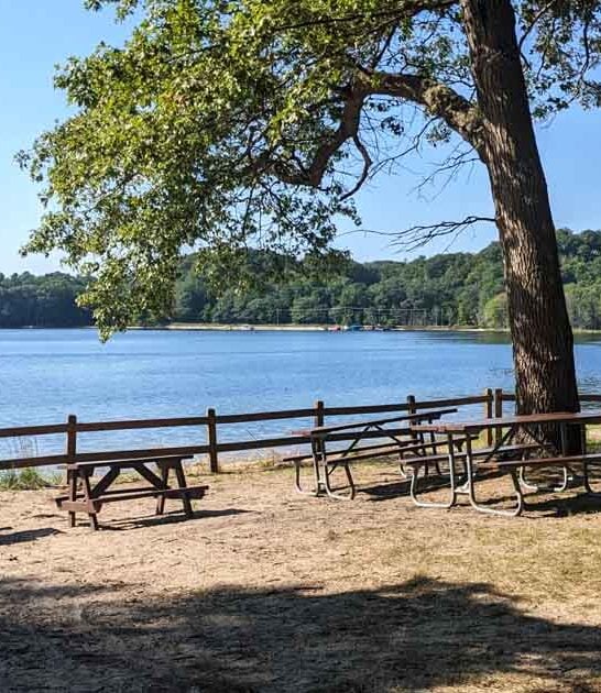 travel michigan state park ftr