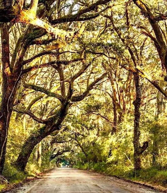 travel places south carolina ftr