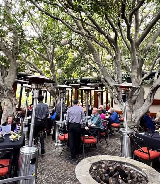 tree canopied california restaurant ftr