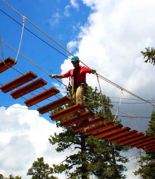 treetops fun canopy california ftr