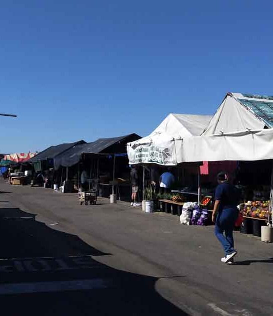 trip colorado flea market ftr